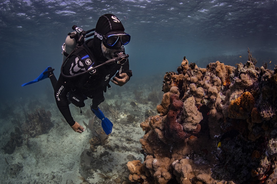 The Best Scuba BCD for Your Diving Style - SCUBAPRO