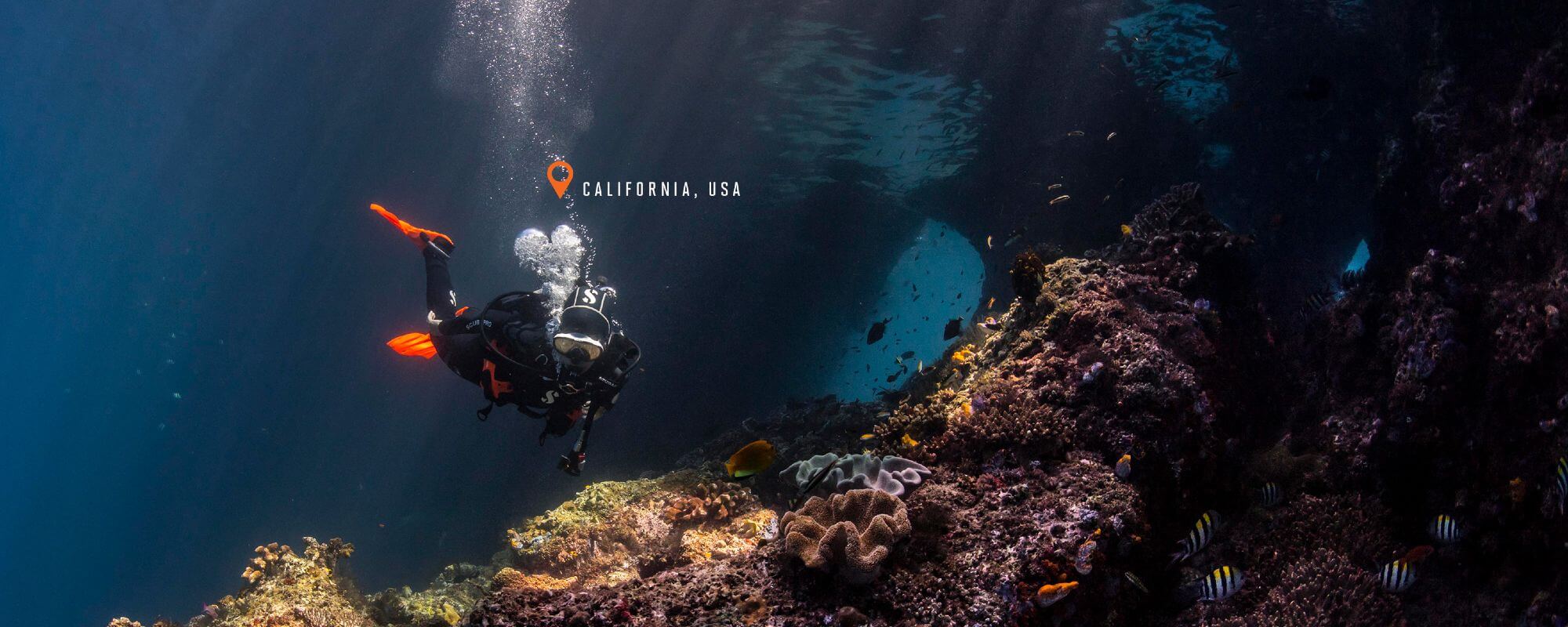 Scuba BCD Buying Guide | SCUBAPRO