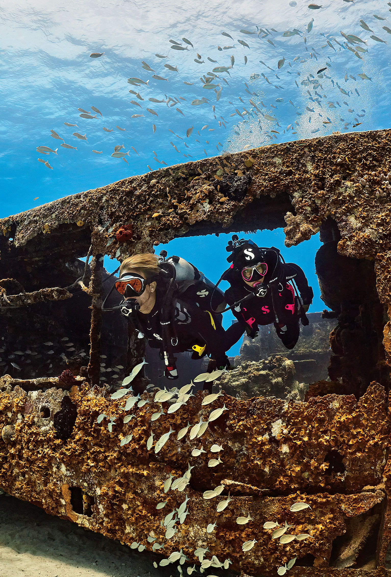 EVERFLEX WETSUITS - Scubapro us