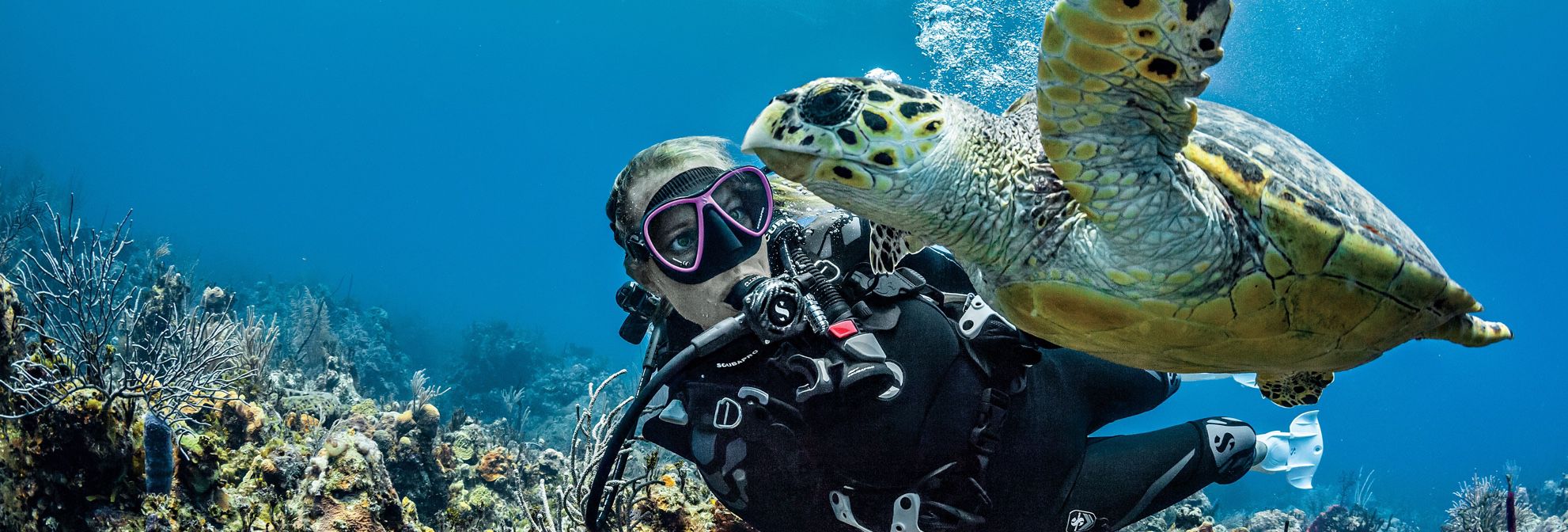 Shop for Scuba Dive Knives - Scubapro us