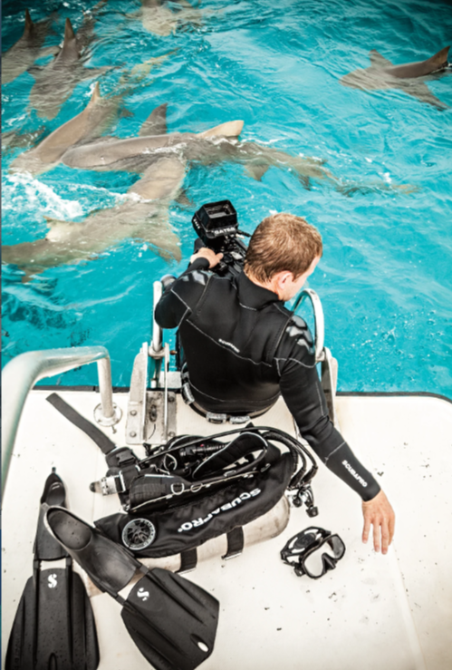 Top 15 Shark Diving Locations in the World - SCUBAPRO