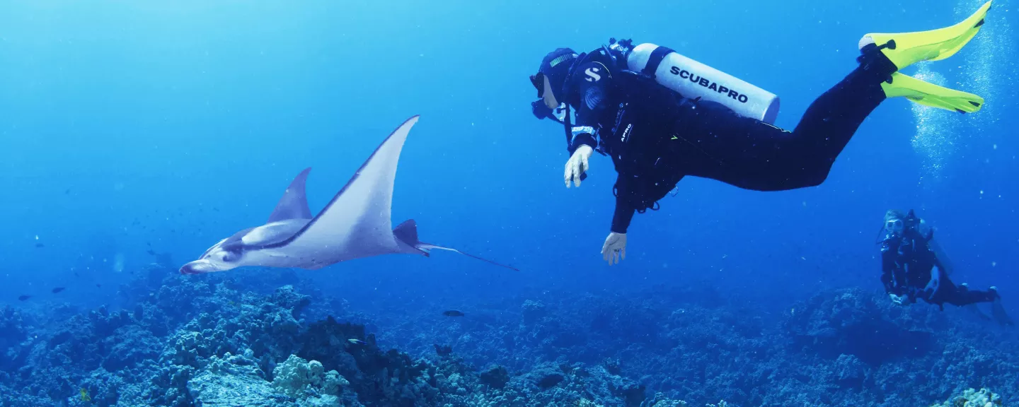 Scuba diving T-Shirt for Women Save Our Oceans – Diving Specials ...