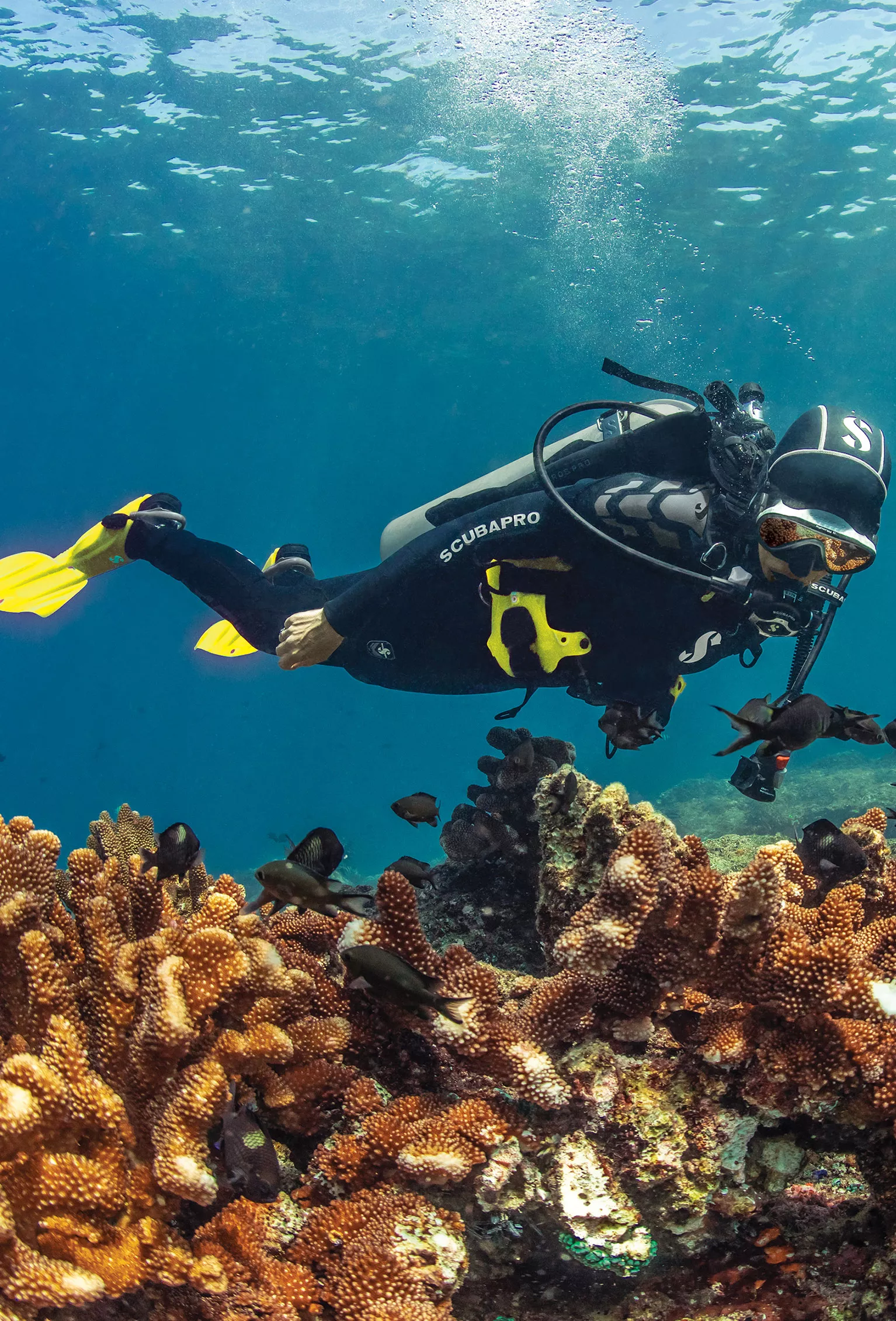 Hydros BCDs - SCUBAPRO